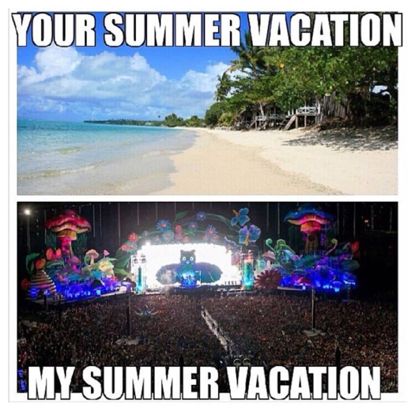 15 of Our Favorite EDM Memes | Music Festival Memes