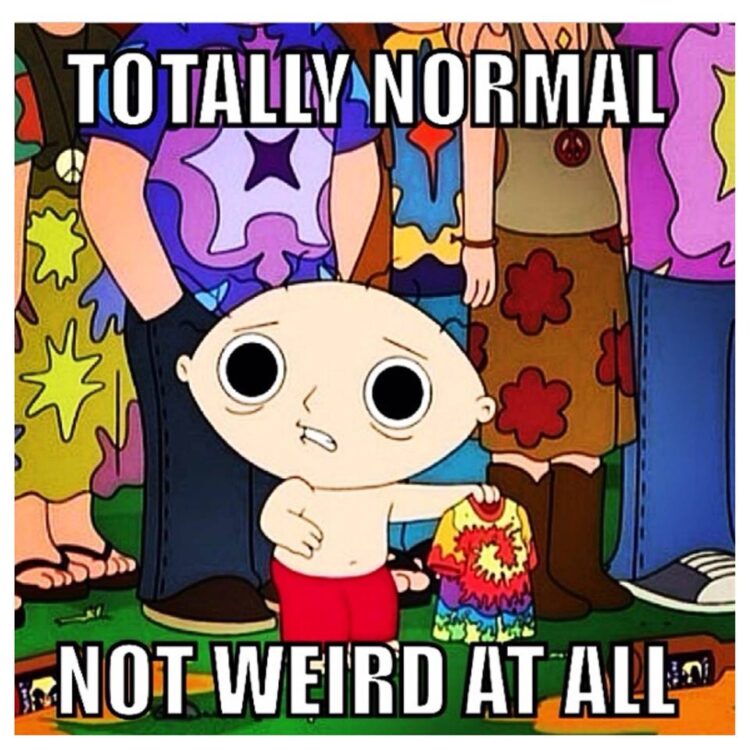 15 of Our Favorite EDM Memes | Music Festival Memes