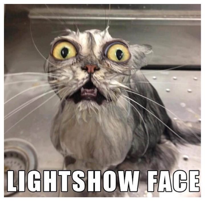 20 Hilarious Memes that Capture the Essence of EDM