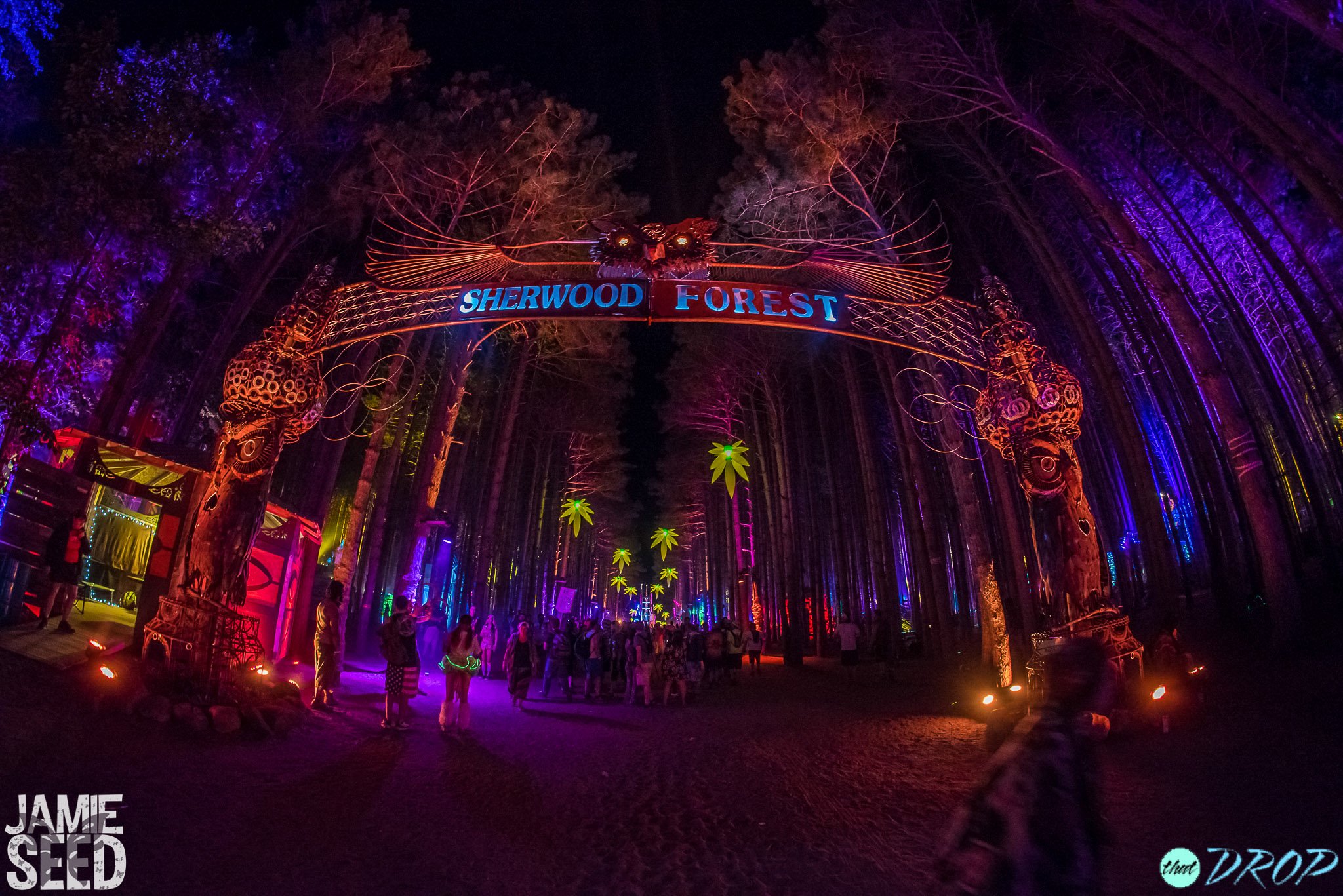 Electric Forest Photo Gallery: 117 Photos from Electric Forest 2015