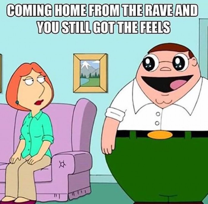 20 of Our Favorite EDM Related Memes From 2015
