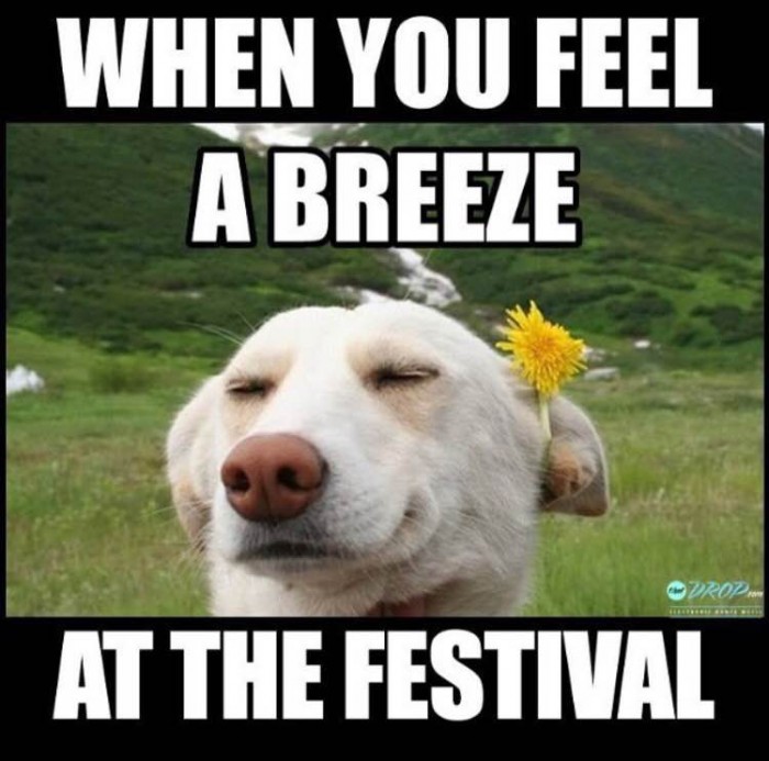 20 of Our Favorite EDM Related Memes From 2015