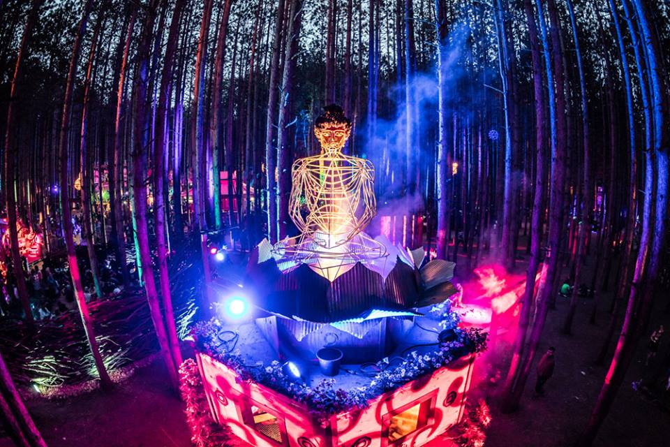 These Are The 10 Biggest EDM Festivals In The USA These Are The 10 Biggest EDM Festivals In The USA