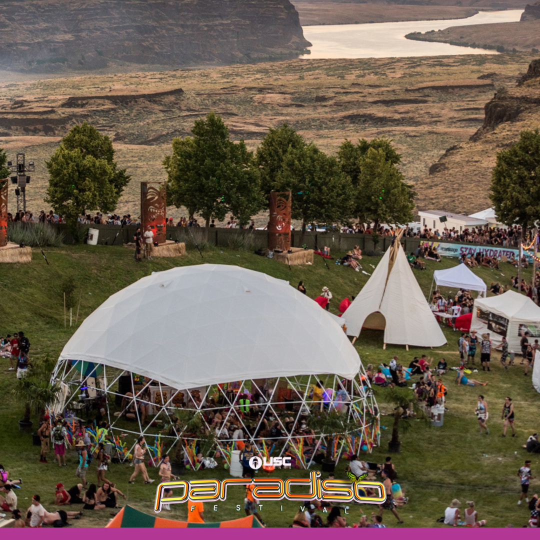 30 Beautiful Moments Captured at Paradiso: Where Digital Meets Nature