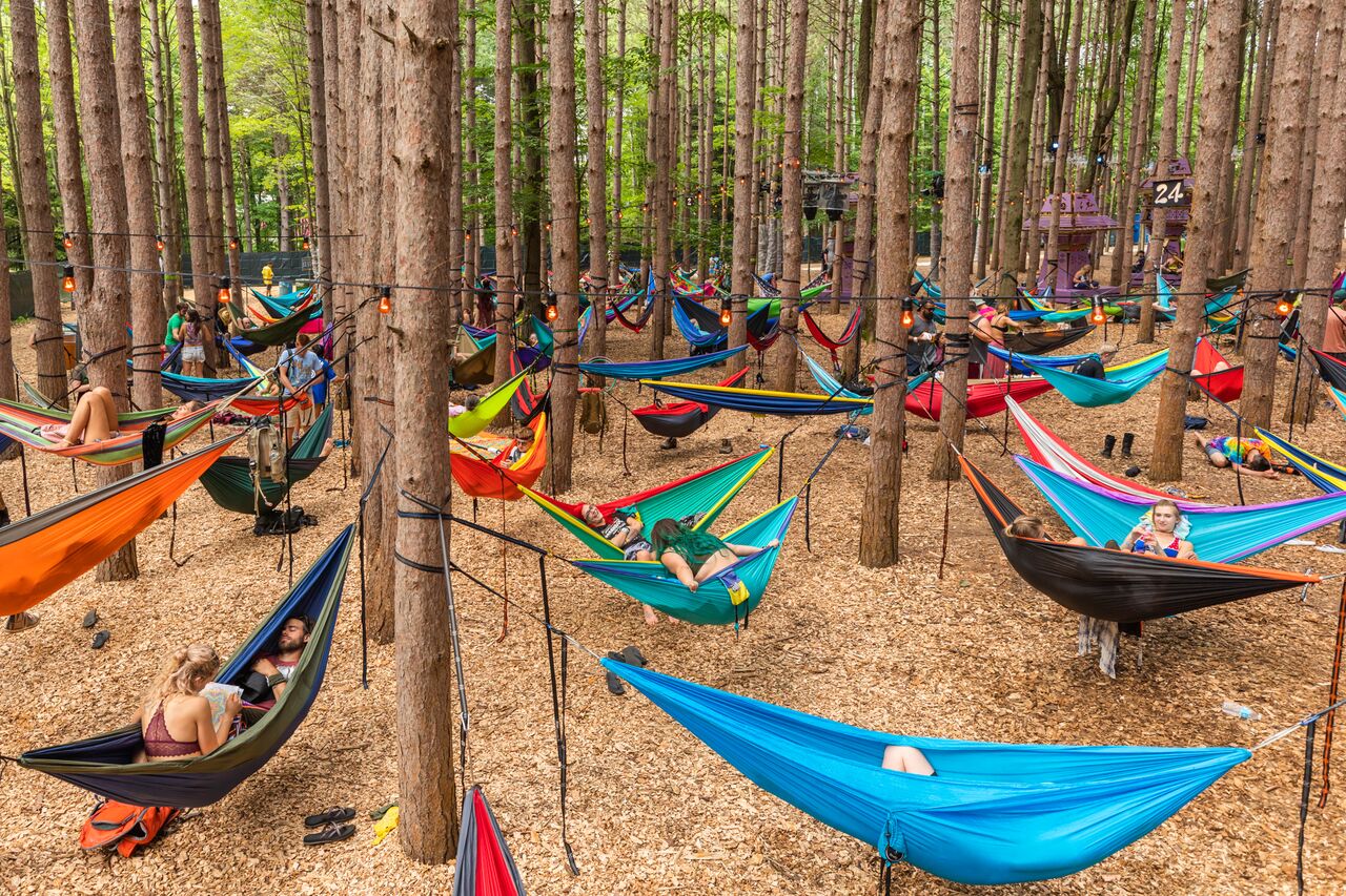 Discoveries within Electric Forest 2018: An Immersive Experience