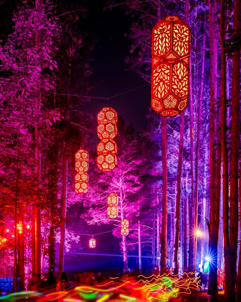 The Greatness Instilled within Electric Forest Caught on Camera