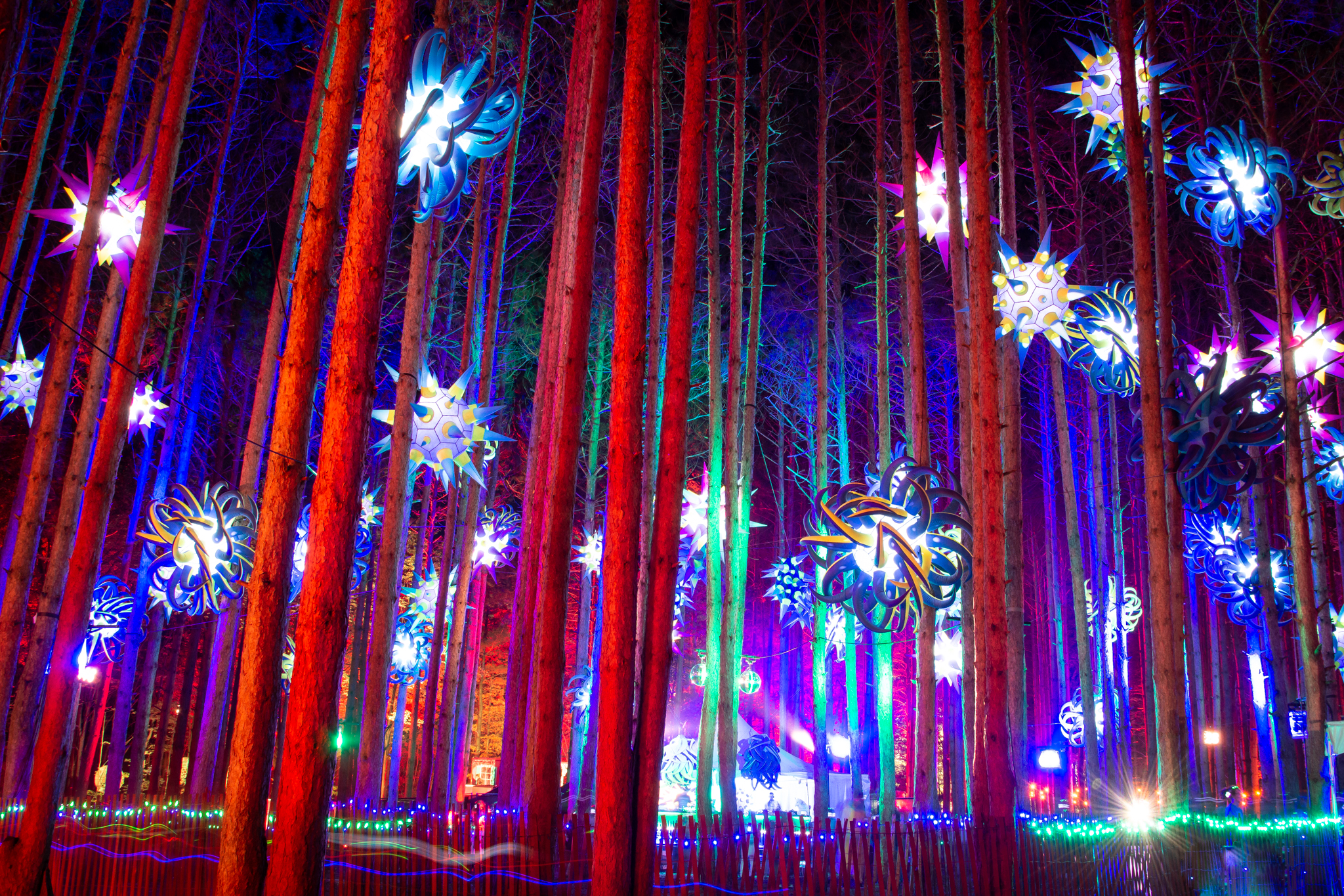 The Greatness Instilled within Electric Forest Caught on Camera