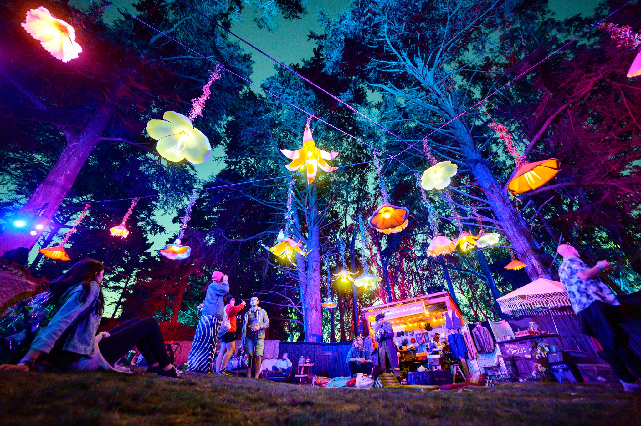An Inside Look at Outside Lands 2019